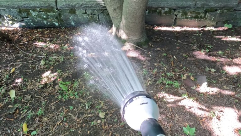 How to Kill Weeds Growing Around Trees without harming the tree (video ...