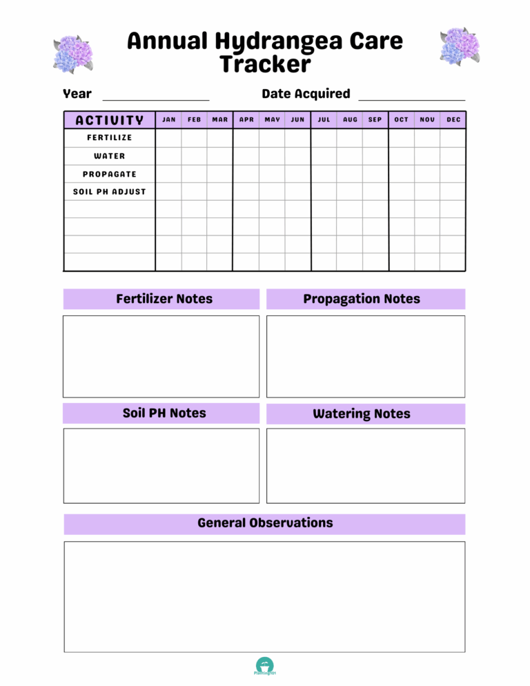 Hydrangea Planting Zones Guide: Choose the Best Hydrangea to Plant ...