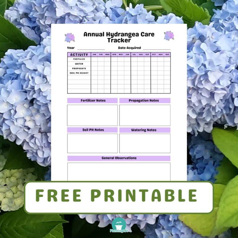 Hydrangea Planting Zones Guide: Choose the Best Hydrangea to Plant ...